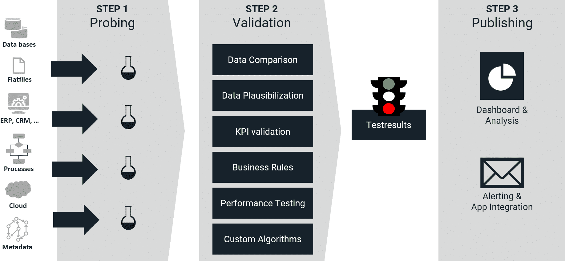 What are Probes? - BiG EVAL