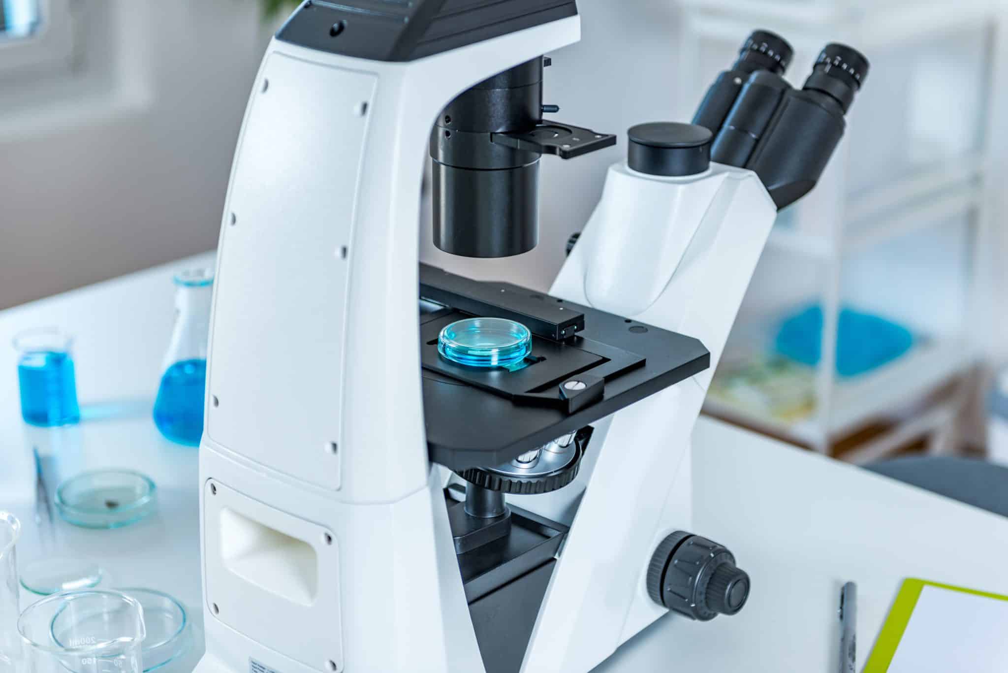 Data Validation Testing: What Is It and Why Does It Matter? - BiG EVAL